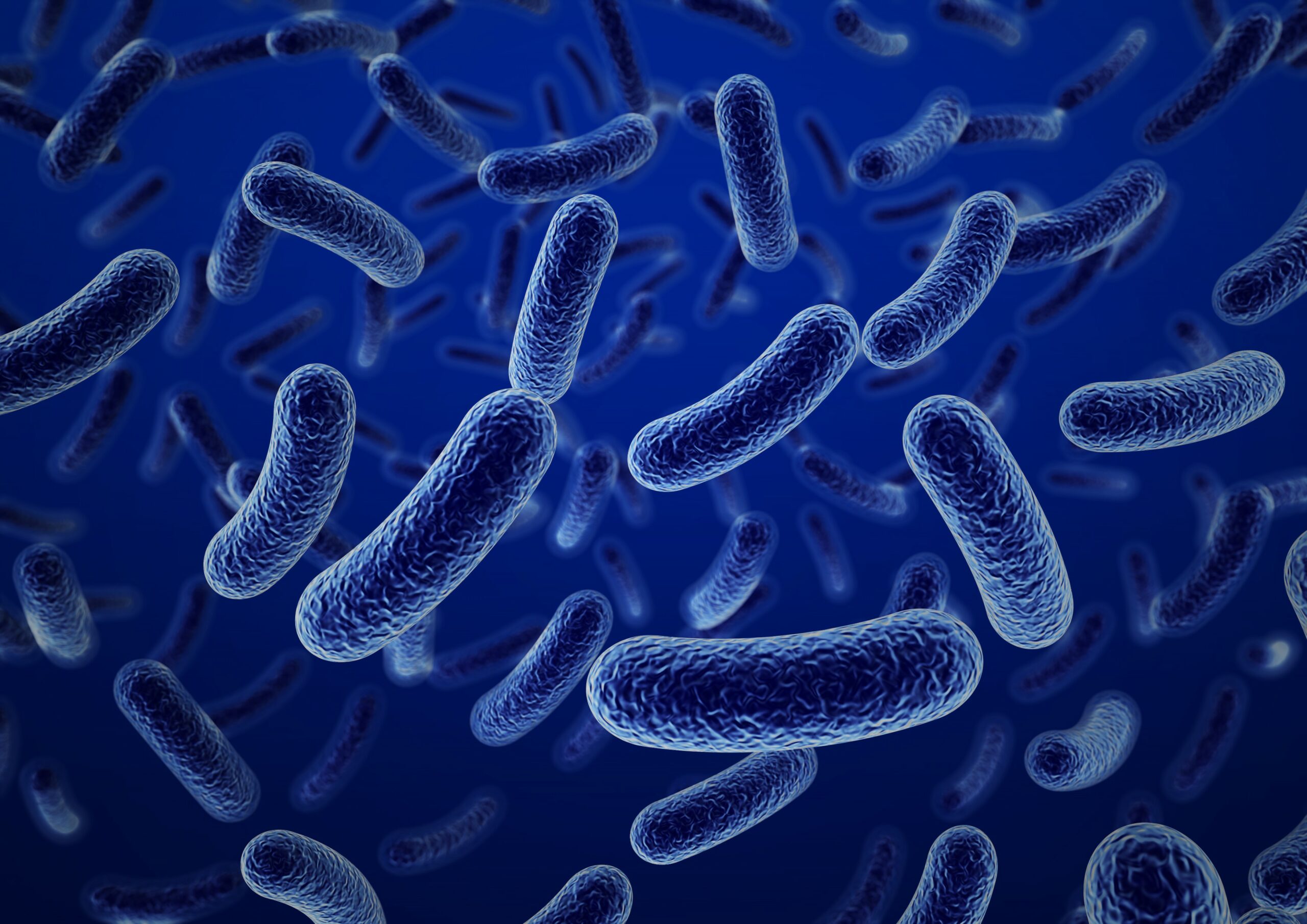 Bacteria In Well Water Symptoms | How To Filter Coliform From Well Water